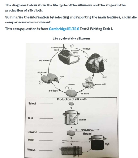 Band 6: The diagrams below show the life cycle of the silkworm snd the ...