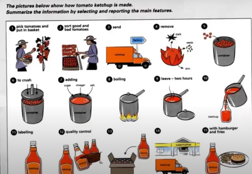 Band 8+: The pictures below show how tomato ketchup is made. Summarise ...