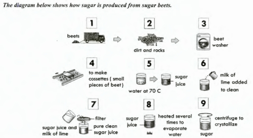 The diagram below shows how sugar is produced from sugar beets. (User ...