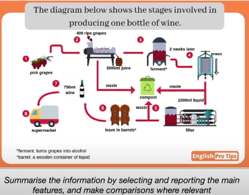 The diagram illustrates the stages involved in the production of a ...
