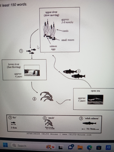 The diagram below show the life cycle of a species of large is called ...