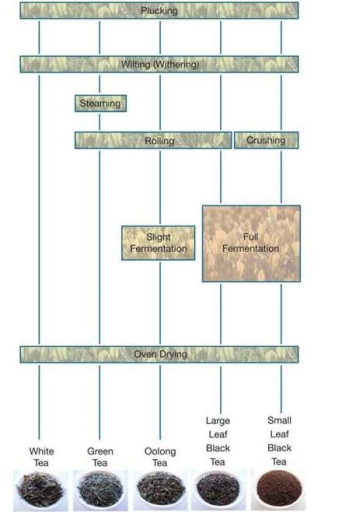 You should spend about 20 minutes on this task. The diagram shows how ...