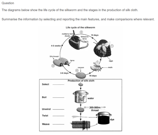 The diagrams below show the life cycle of the silkworm and the stages ...