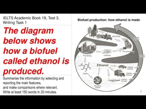 Band 6: The diagram below shows how a biofuel called ethanol is produced. Summarise the ...