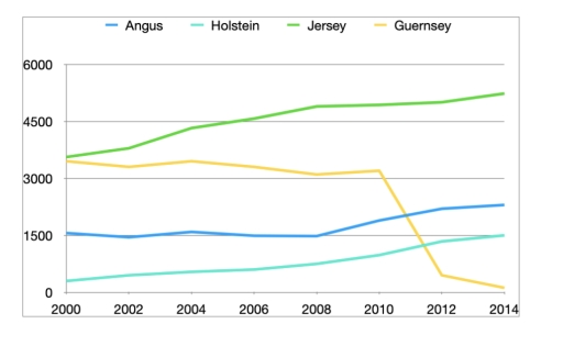 Band 7: The line graph illustrates quantities of particular cow breeds ...