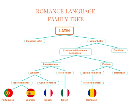 The image below shows the family tree of Romance languages ...