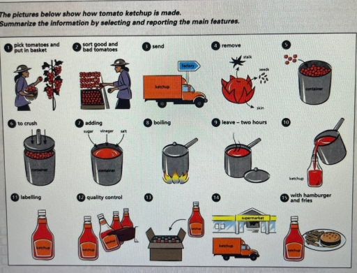 Band 5: The picture below show how tomato ketchup is made. Summarize ...