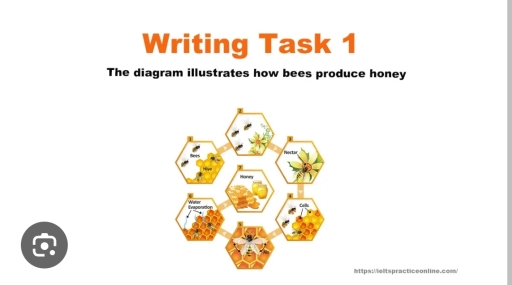 The diagram illustrates how bees produce honey. Summarise the ...