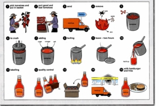 Band 8: This pictures below show how tomato ketchup is made. Summarise ...