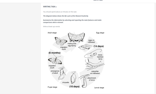 WRITING TASK 1 You should spend about 20 minutes on this task. The ...