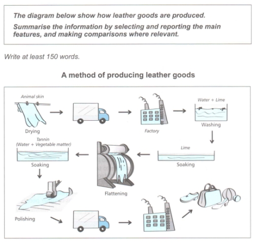 The diagram below shows how leather goods are produced. Summarize the ...