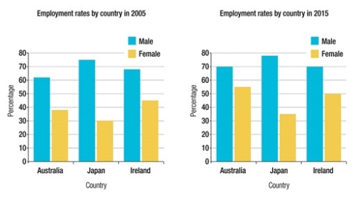 The Bar Charts Below Show The Percentages Of Men And Women In