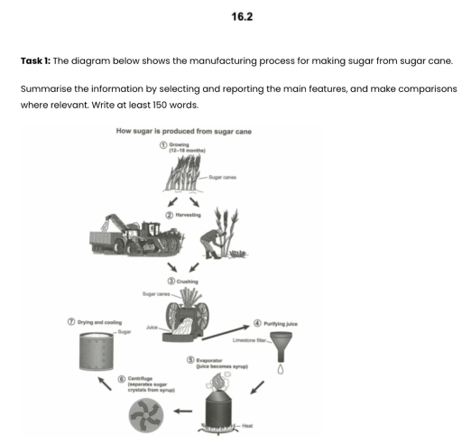 the steps of the manufacturing cycle for sugar creation from sugar cane ...