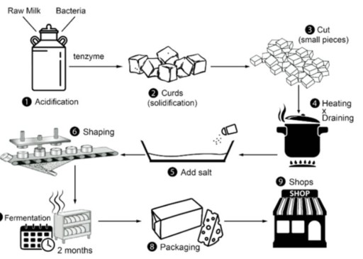Band 7: The diagram below shows how cheese is made. Write a report for ...