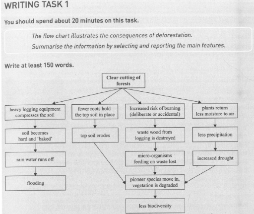 WRITING TASK 1 You should spend about 20 minutes on this task. The flow ...