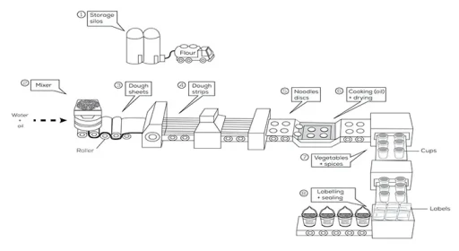 The diagram below shows how instant noodles are manufactured. Summaries ...
