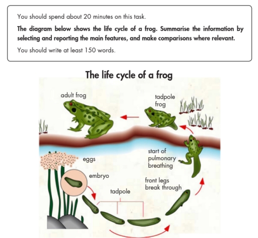 Band 5: You should spend about 20 minutes on this task. The diagram ...