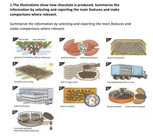 The illustration shows how chocolate is produced . Summarize the ...