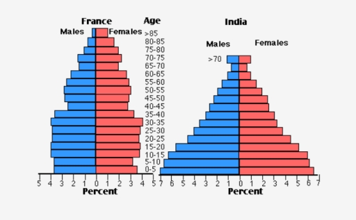 Band 8: The charts below compare the age structure of the populations ...
