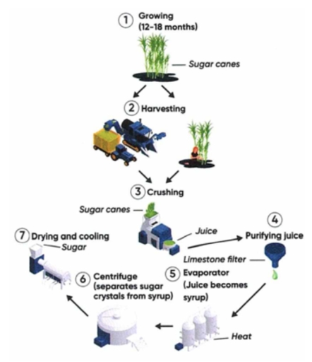 the diagram shows how sugar is made from sugar canes (User-Written ...