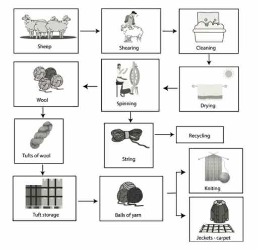 The diagram shows the process of making wool. Summarize the information by selecting and ...