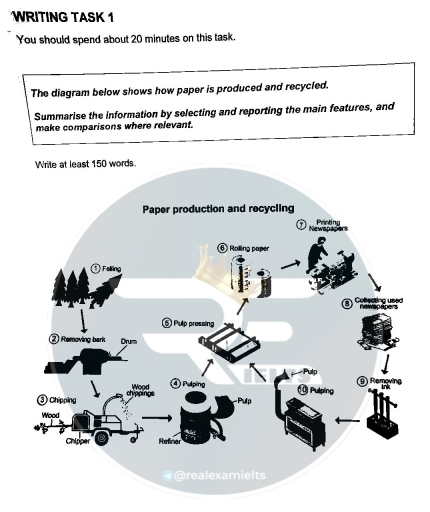 The diagram below shows how paper is produced and recycled. (User ...