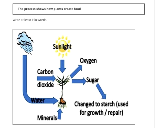 Band 6: The process shows how plants create food. Write at least 150 ...