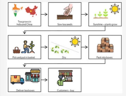 Band 5: The pictures below show how tea is produced. Summarize the ...