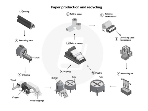 the diagram below shows the process for producing and recycling paper ...