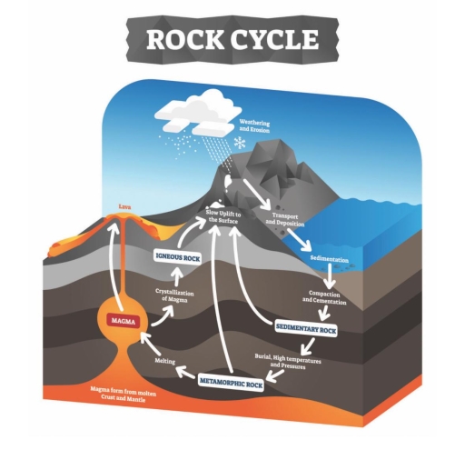 The diagram shows how processes in the earth's rock cycle create and ...