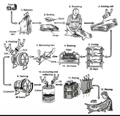 Band 5: The process shows how to make clothes from animal skin. (User ...
