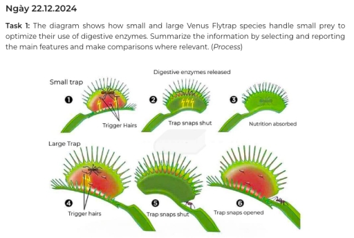 The diagram shows how small and large Venus Flytrap species handle ...