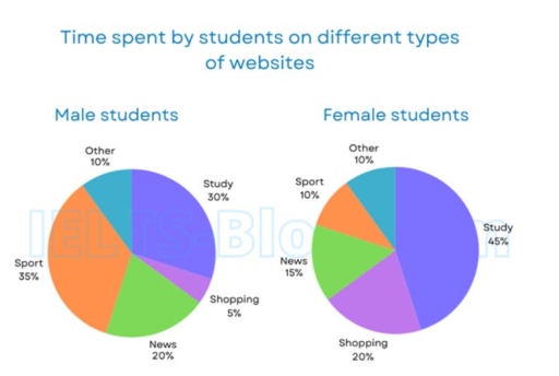 Band 8: The charts below illustrate the percentage of time that male ...