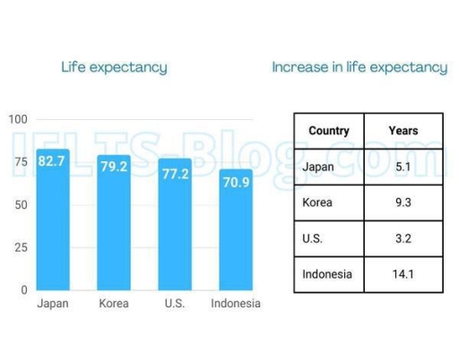 The charts below give information on average life expectancy in four ...