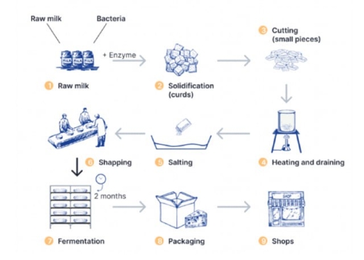 Band 4: The diagram below shows how cheese is made. Summarise the ...