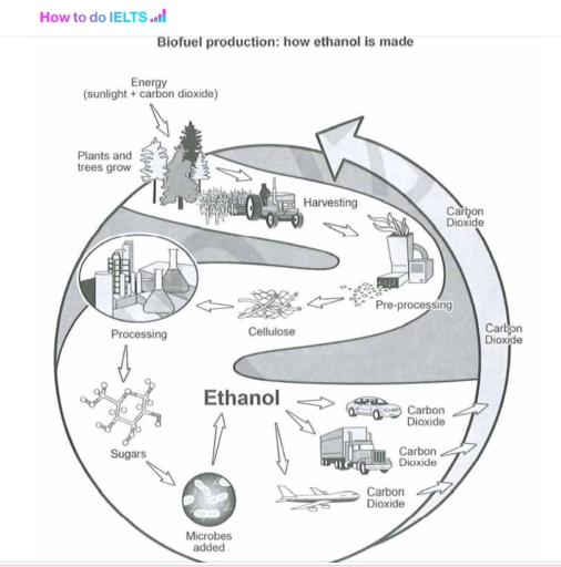 Band 6: the diagramm below show how a biofuel called ethanol is produced. (User-Written IELTS ...