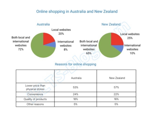 Band 7: The charts below provide information about the websites where ...