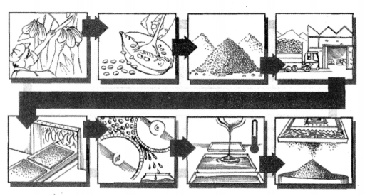 Band 5: The diagram below shows the process of making chocolate ...