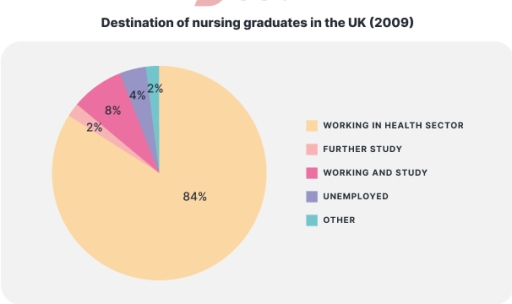 Band 6: The chart below gives information about what nursing graduates ...