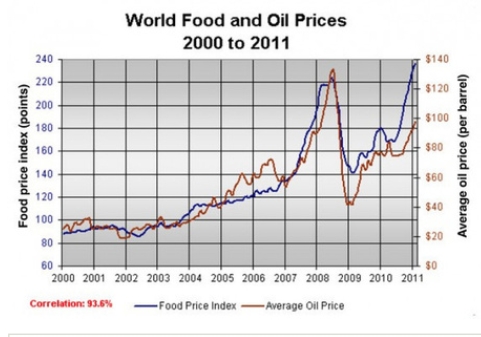 The graph below shows changes in global food and oil prices between ...