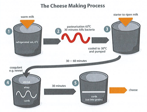 The diagram below shows the process of making cheese. Summarise the ...