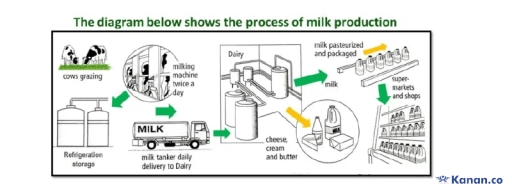 The diagram shows the process by which milk and related products are ...