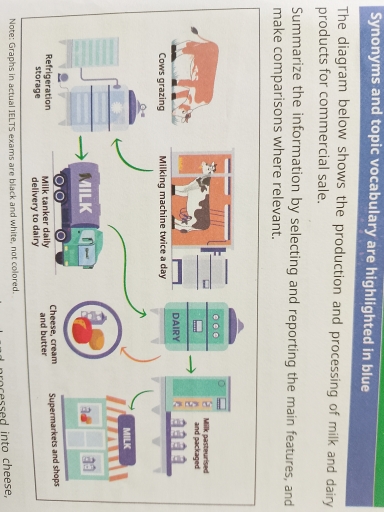 The diagram below shows the production and processing of milk and dairy ...