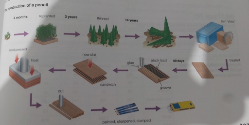 The diagram below show the production of a lead pencil. Summarise the ...