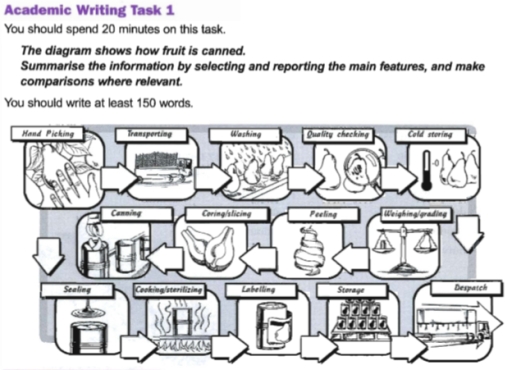 The diagram shows how fruit is canned. Summarise the information by ...