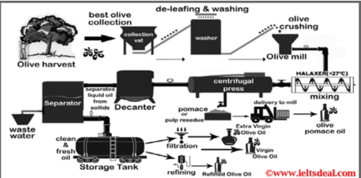 The diagram shows the manufacturing process of olive oil of different ...