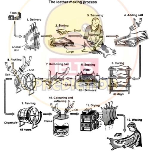 Band 6: The diagram below shows the leather making process. Summarise the information by ...